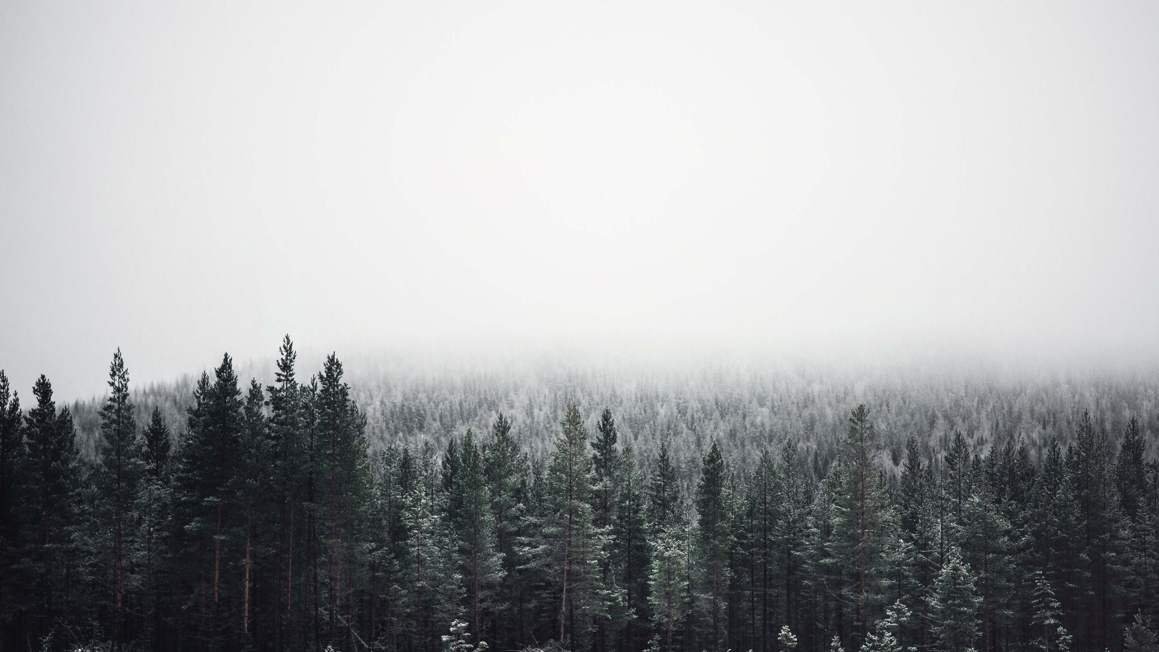 Volvo in cooperation with Orrefors | Orrefors