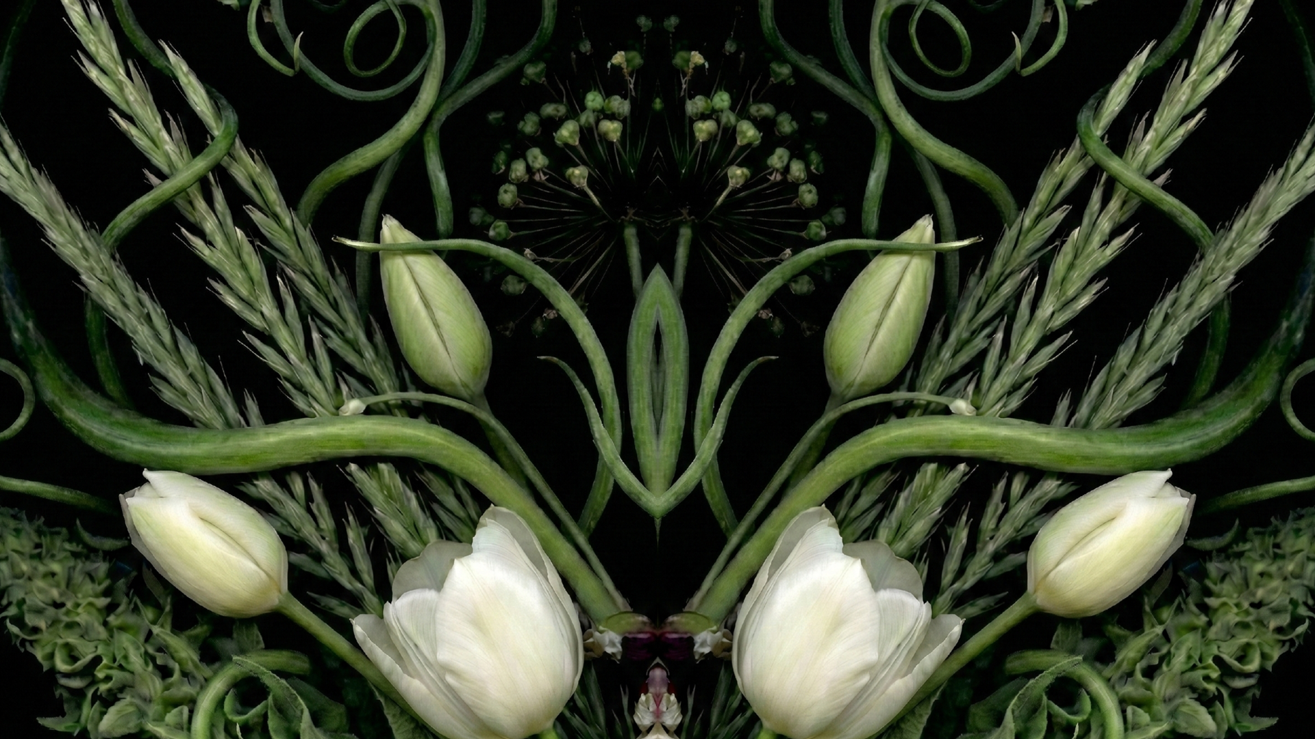 Page 2 for Embrace spring - Orrefors | Orrefors